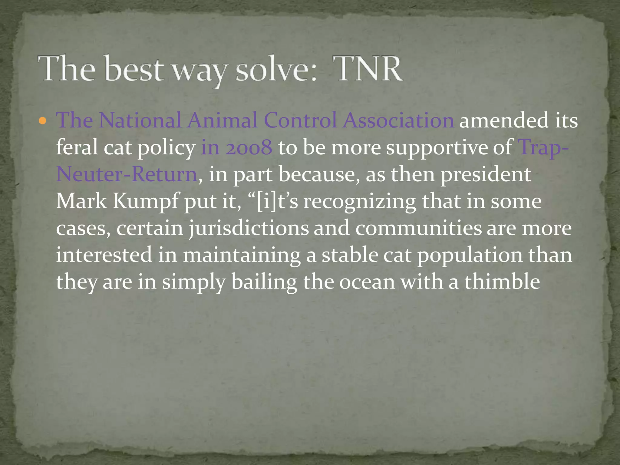 Luyue chai ENG 107 | PPT