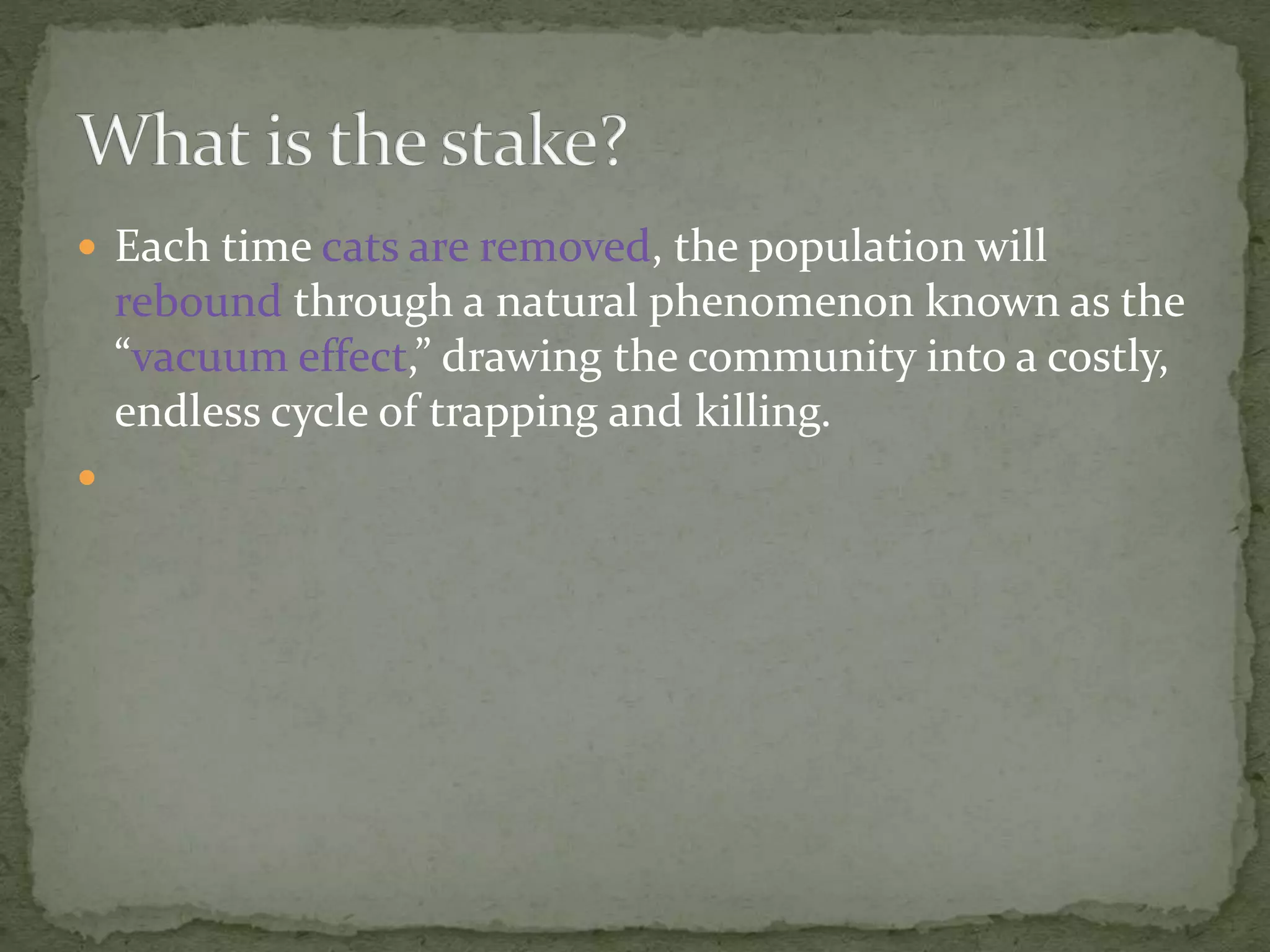 Luyue chai ENG 107 | PPT