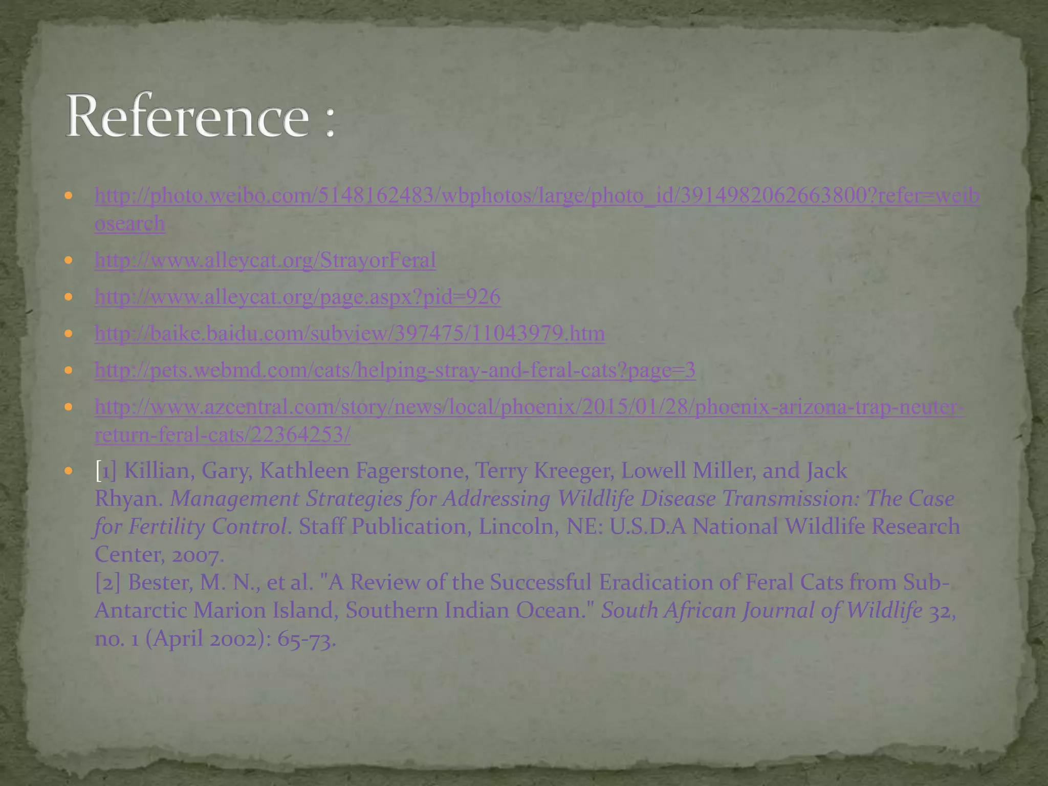 Luyue chai ENG 107 | PPT