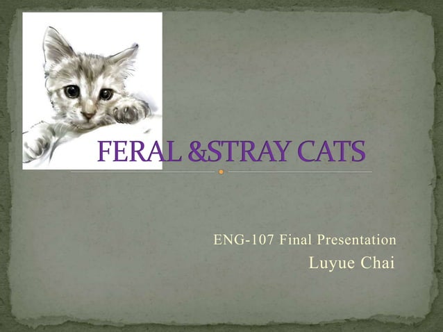 Luyue chai ENG 107 | PPT