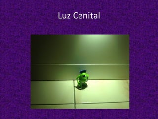 Dirección de la luz | PPT