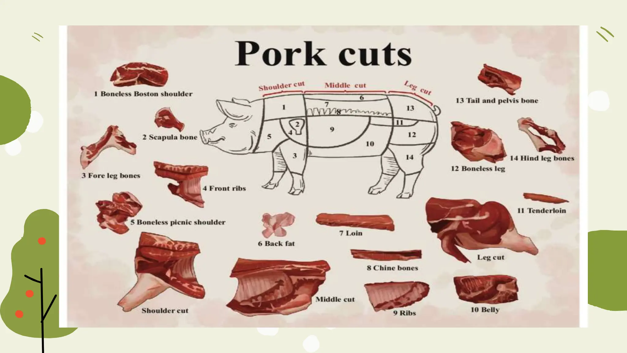 different cuts of meat | PPTX