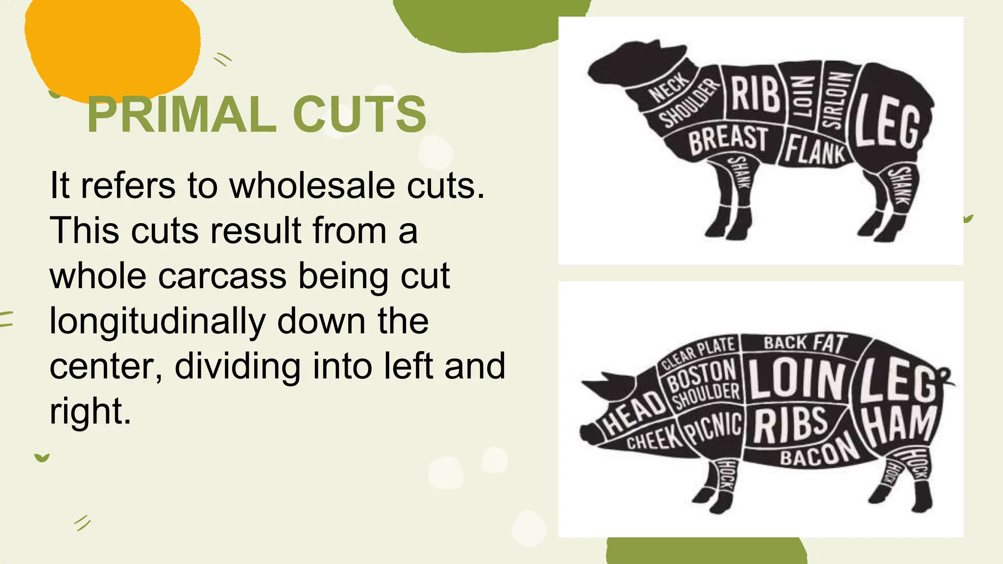different cuts of meat | PPTX