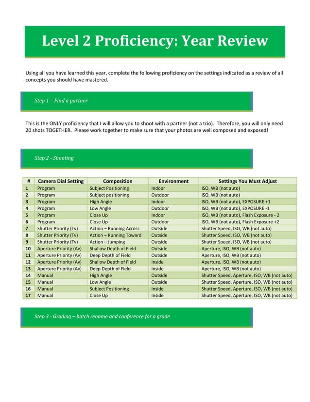 Lv2 prof year review | PDF
