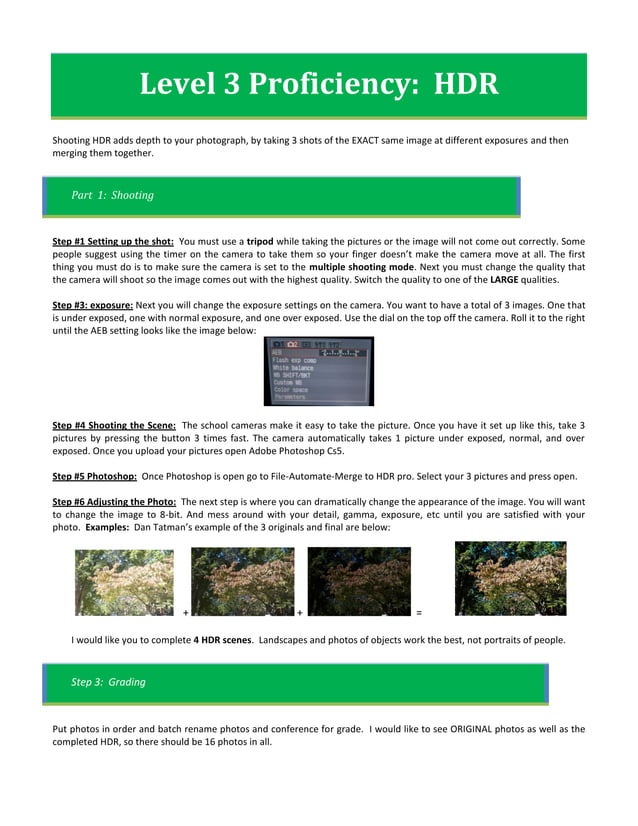 LV3 Proficiency HDR | PDF