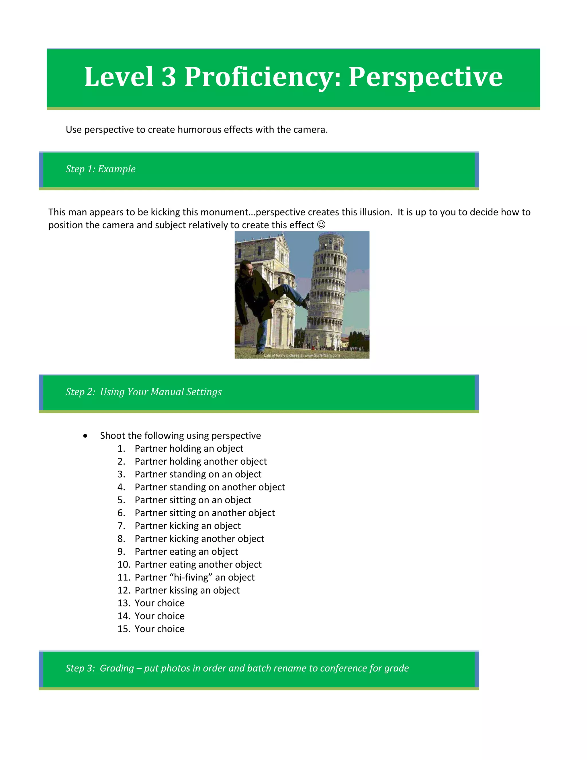 Lv3 prof perspective | PDF