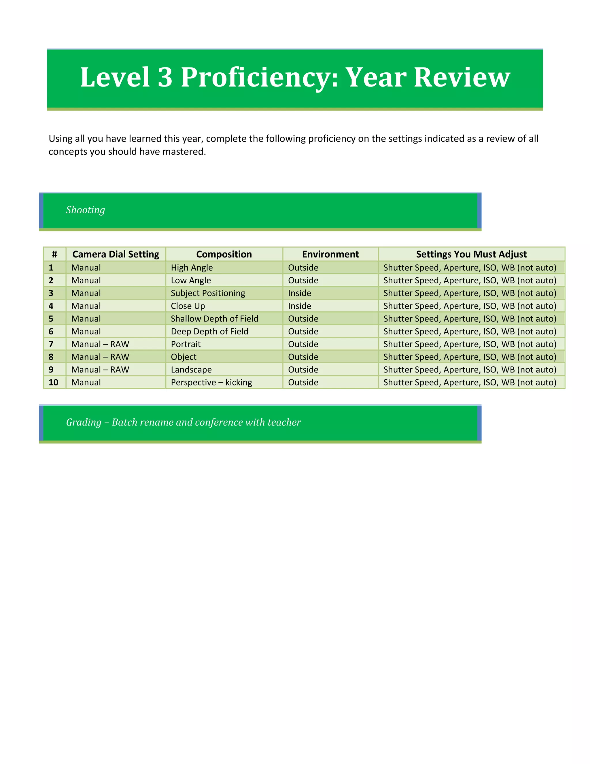 Lv3 prof year review | PDF