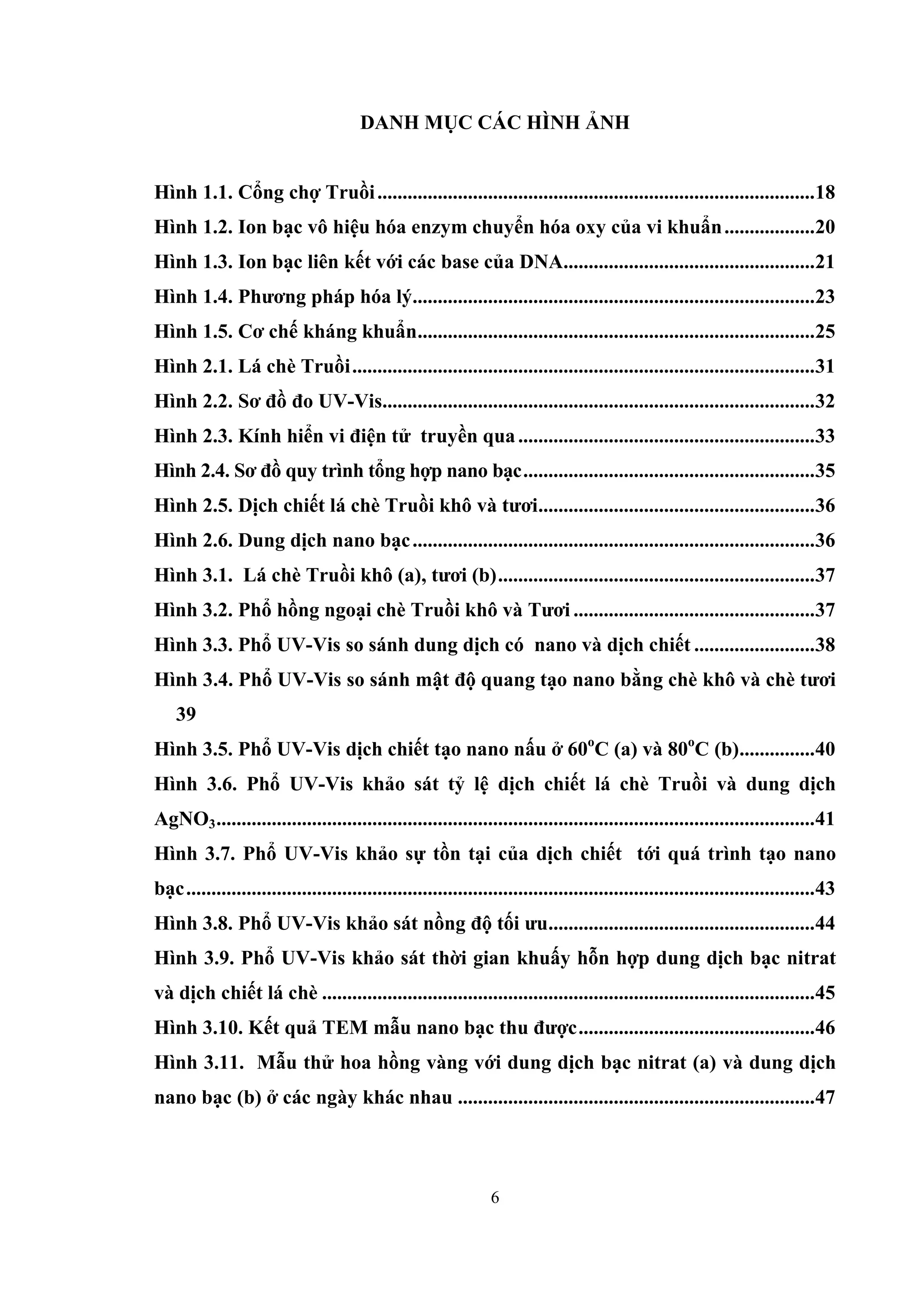 Luận văn: Nghiên cứu tổng hợp nano bạc từ dịch chiết lá chè Truồi và bạc nitrat | PDF