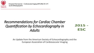 Lv chamber quantifications.2015