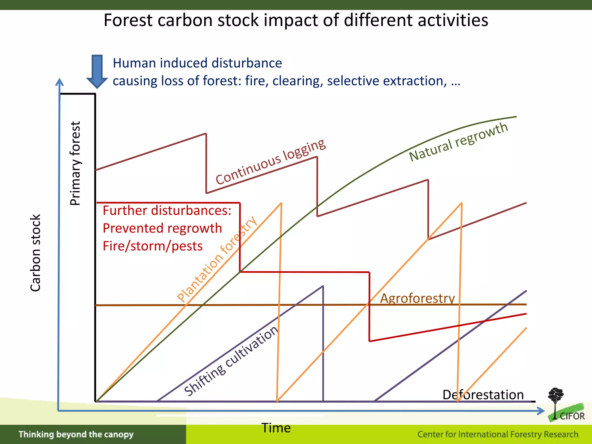 MRV in REDD+: Deforestation and forest degradation drivers | PDF ...