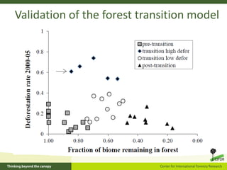 MRV in REDD+: Deforestation and forest degradation drivers | PDF