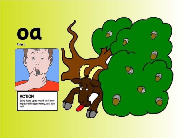 Flashcards and posters oa | PDF