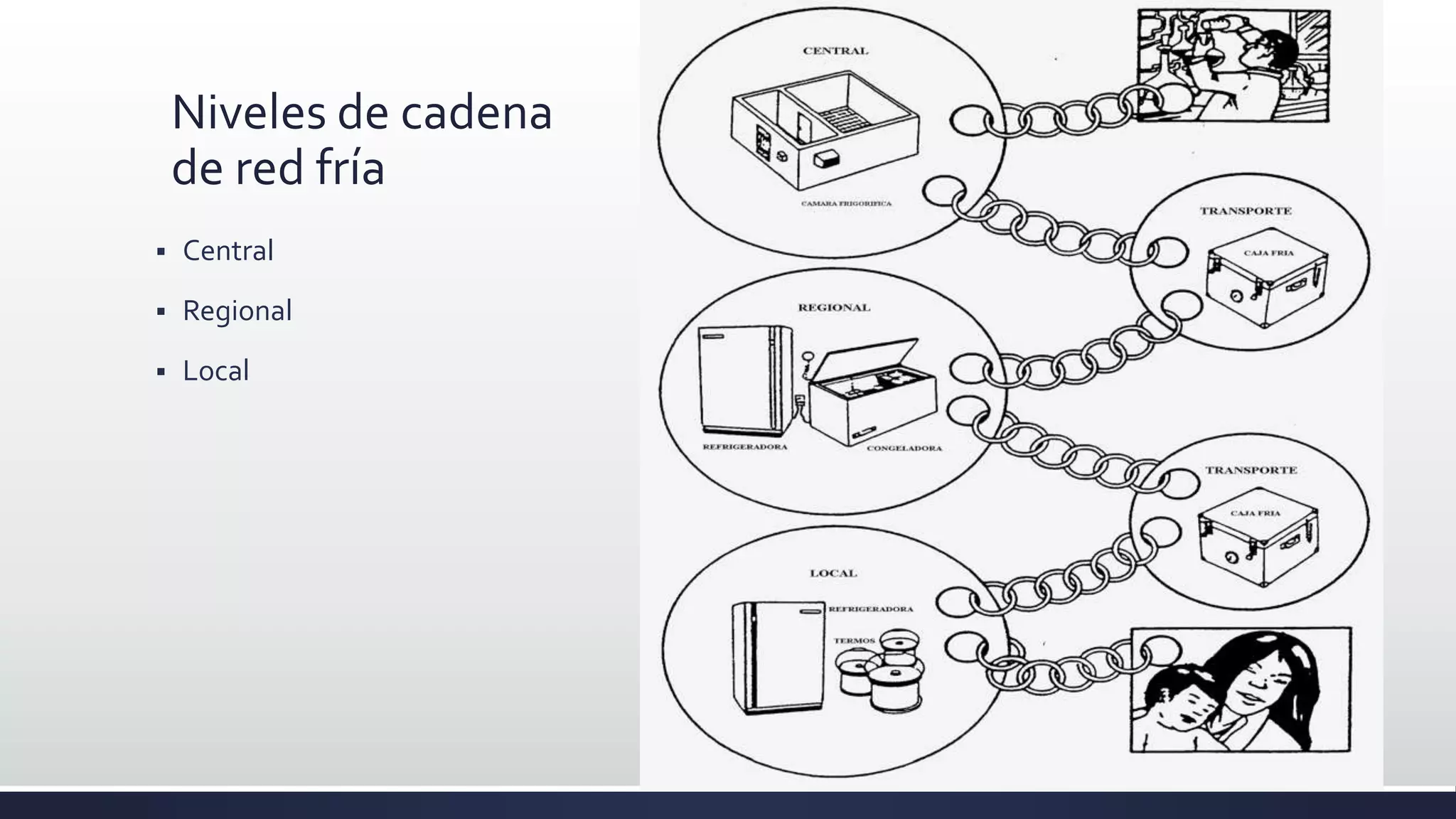 Red fria o cadena fria | PPTX