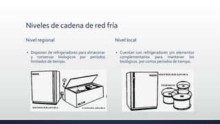 Red fria o cadena fria | PPTX