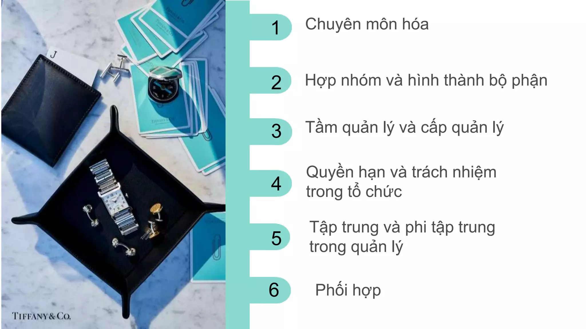 LVMH_Tiffany-Co Organizational Structure.pptx