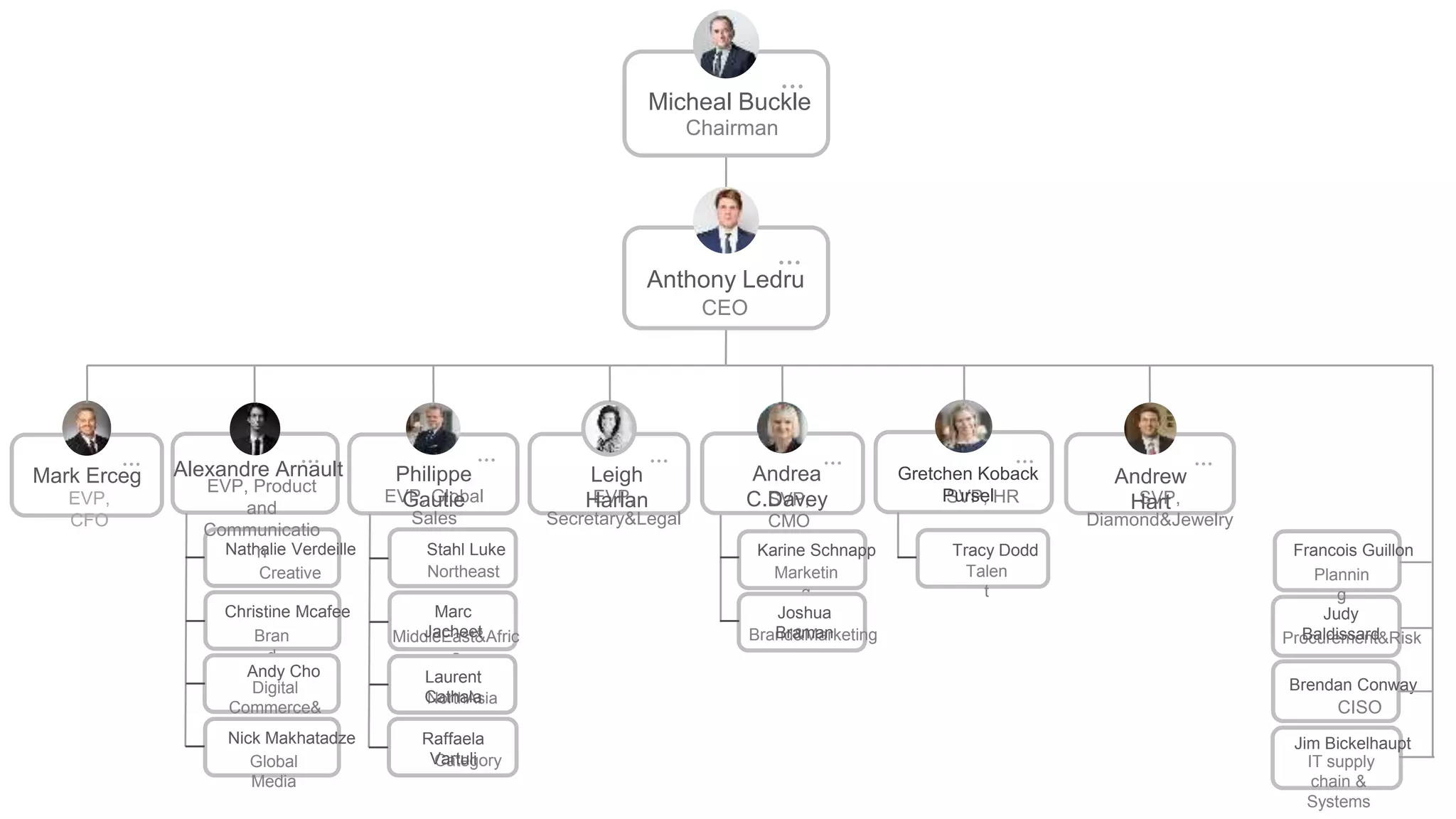 LVMH_Tiffany-Co Organizational Structure.pptx