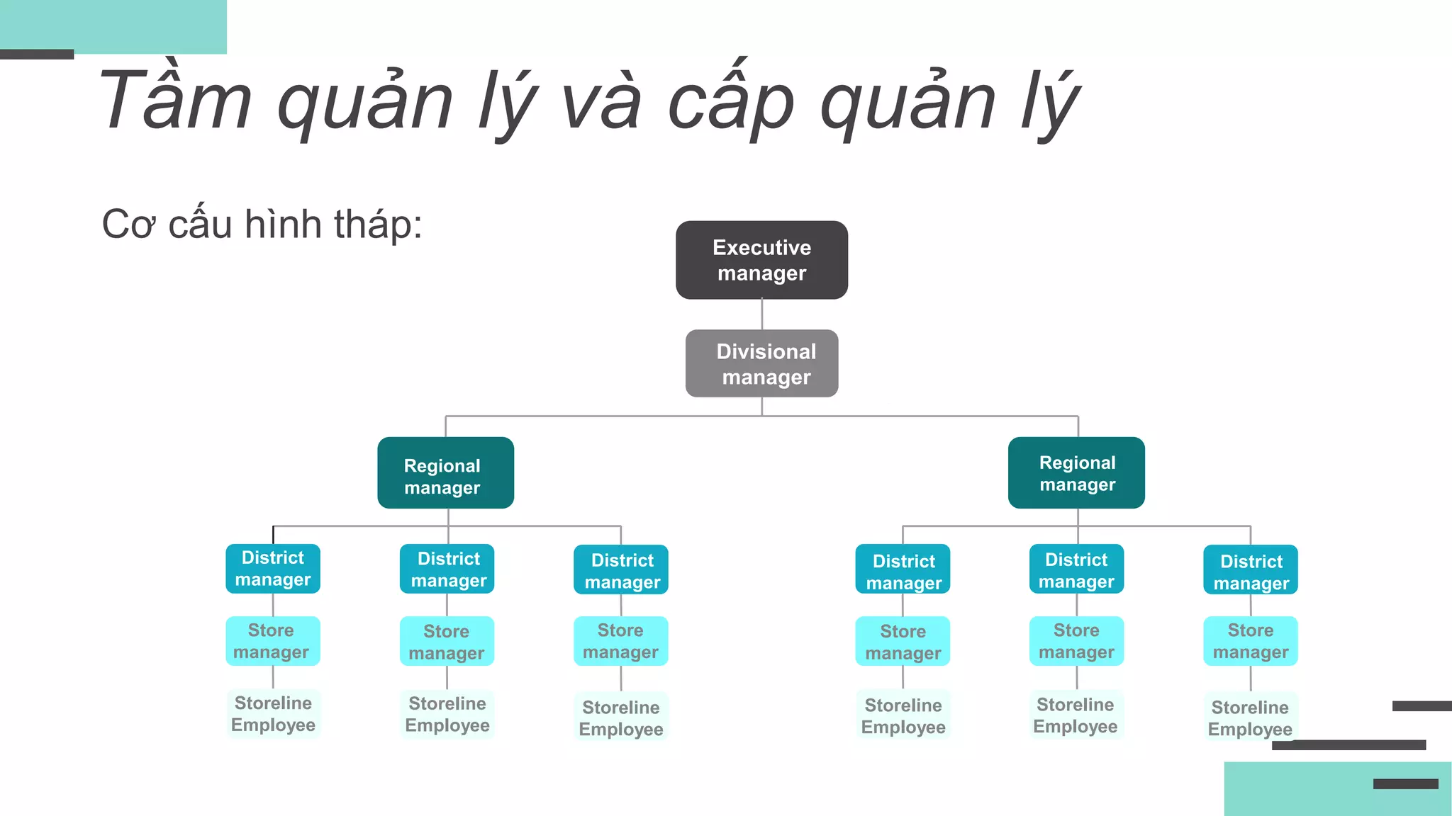 LVMH_Tiffany-Co Organizational Structure.pptx