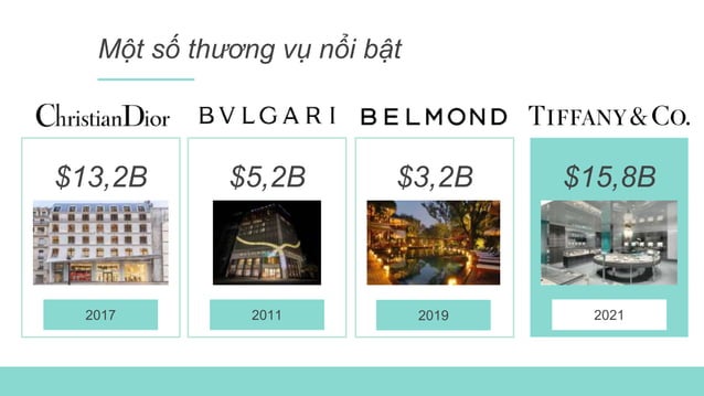 LVMH_Tiffany-Co Organizational Structure.pptx