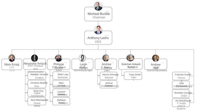 LVMH_Tiffany-Co Organizational Structure.pptx