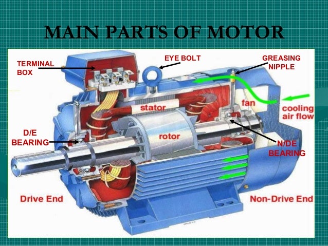 Low Voltage Motors