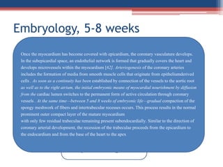 LEFT VENTRICULAR NON COMPACTION (LVNC) | PPTX