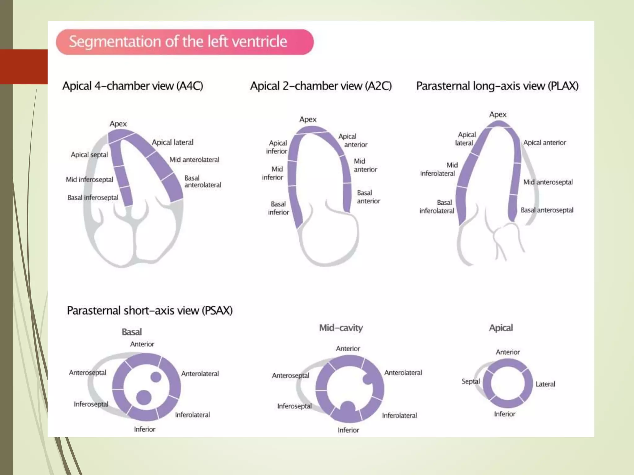 Lv systolic function | PPTX