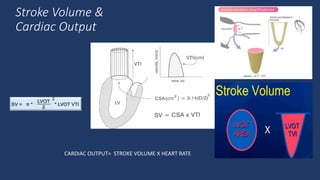 Lv systolic function | PPTX