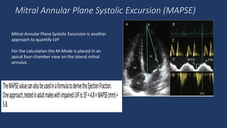 Lv systolic function | PPTX