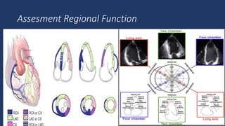 Lv systolic function | PPTX
