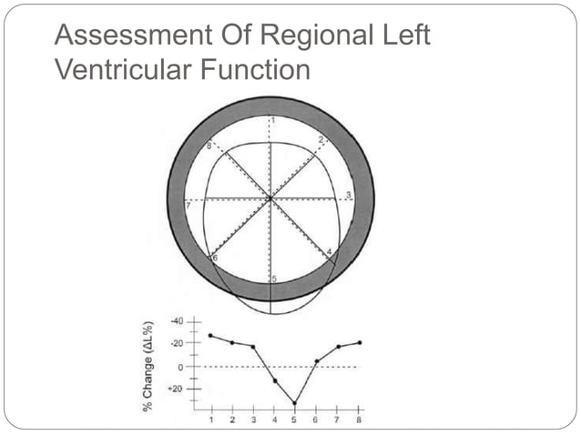 LV Systolic Function.pptx