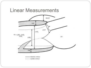 LV Systolic Function.pptx