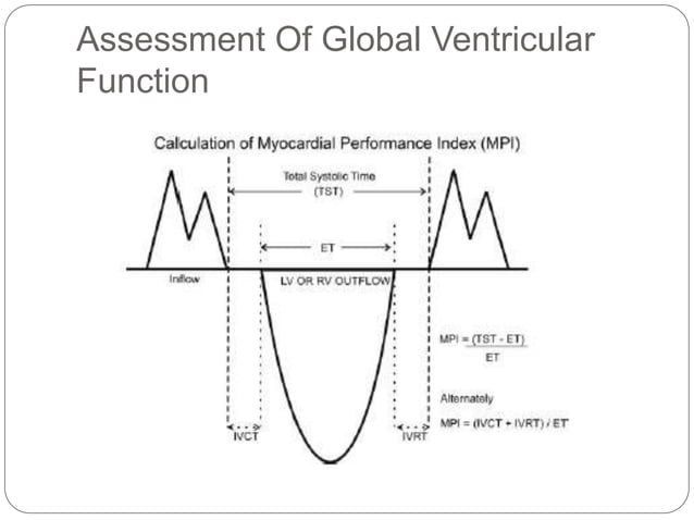 LV Systolic Function.pptx