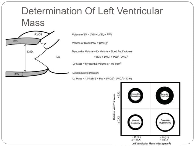 LV Systolic Function.pptx