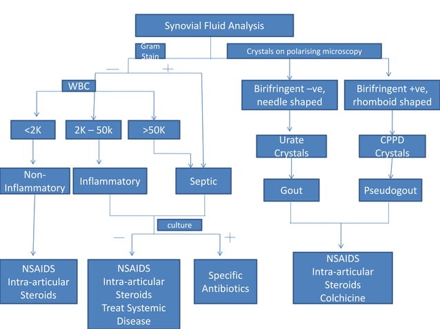 Approach to arthritis | PPTX | Bone and Joint Conditions | Diseases and ...