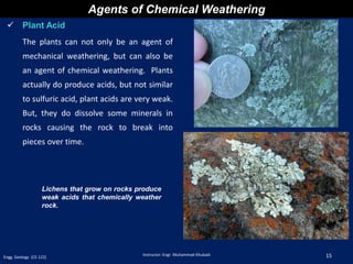 Plant Acid Weathering