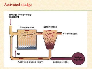LIQUID WASTE MANAGEMENT | PPTX