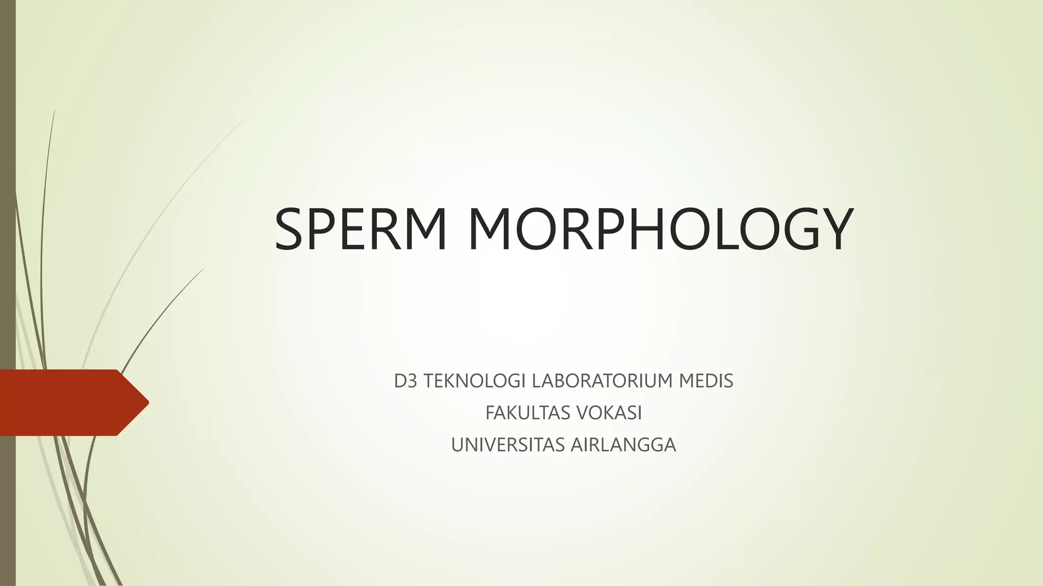 Sperm_Morphology.pptx