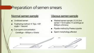 Sperm_Morphology.pptx
