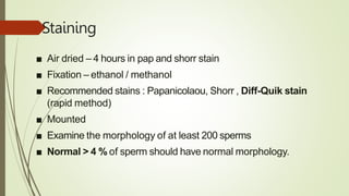 Sperm_Morphology.pptx