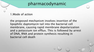 Pharmacology Nystatin and Daptomycin .pptx