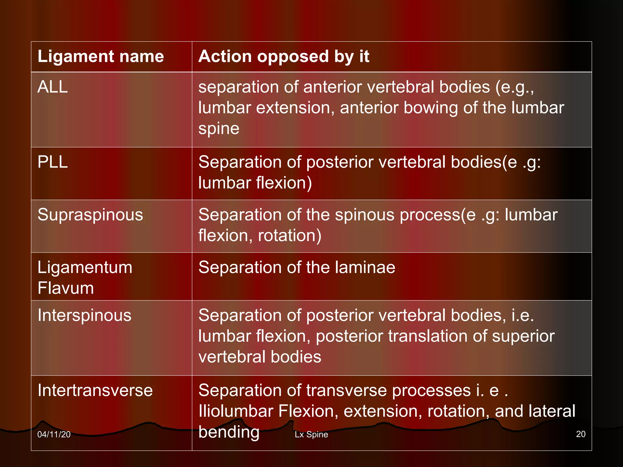Lumbar Spnine: Anatomy, Biomechanics and Pathomechanics | PDF