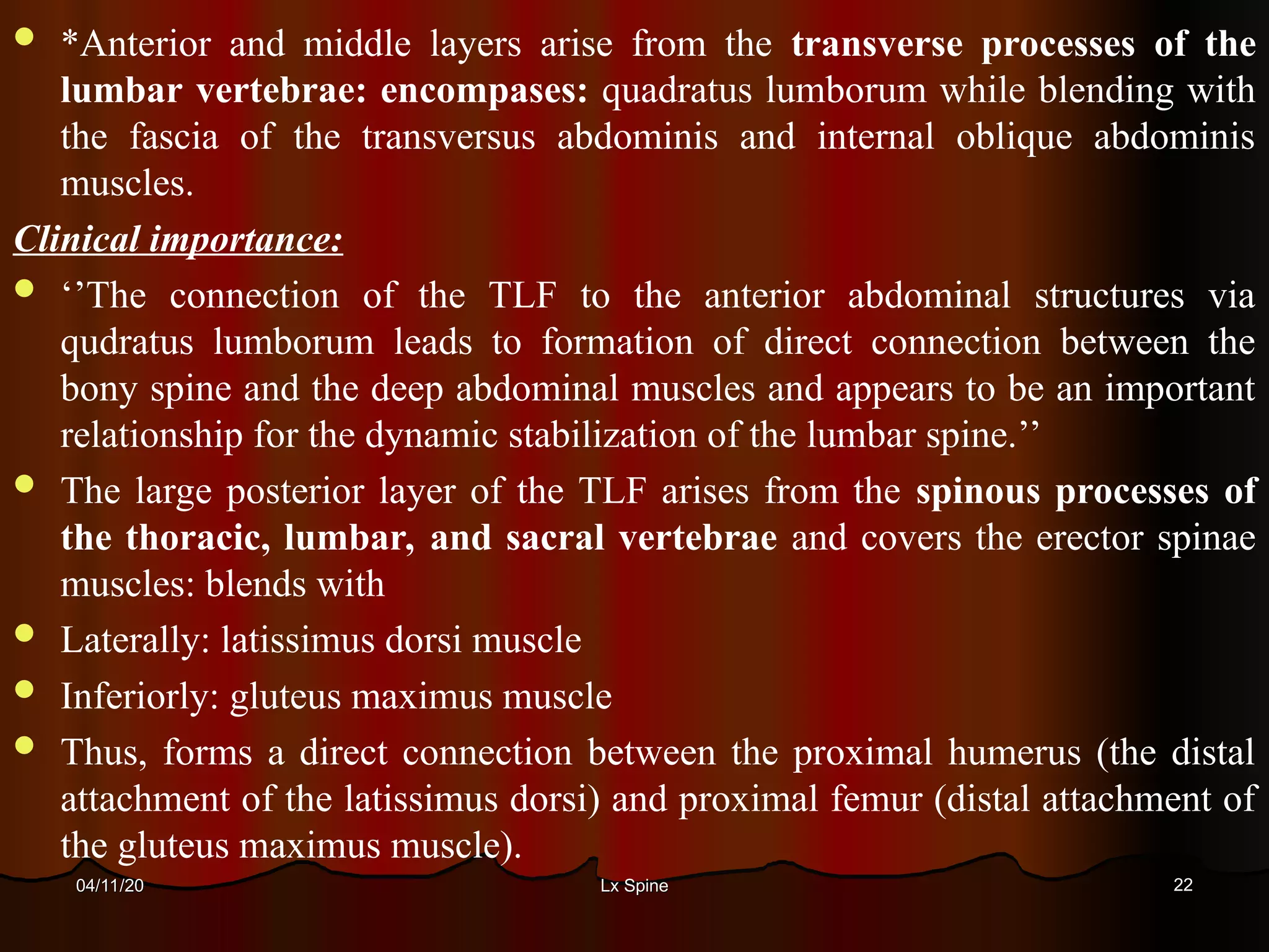 Lumbar Spnine: Anatomy, Biomechanics and Pathomechanics | PDF