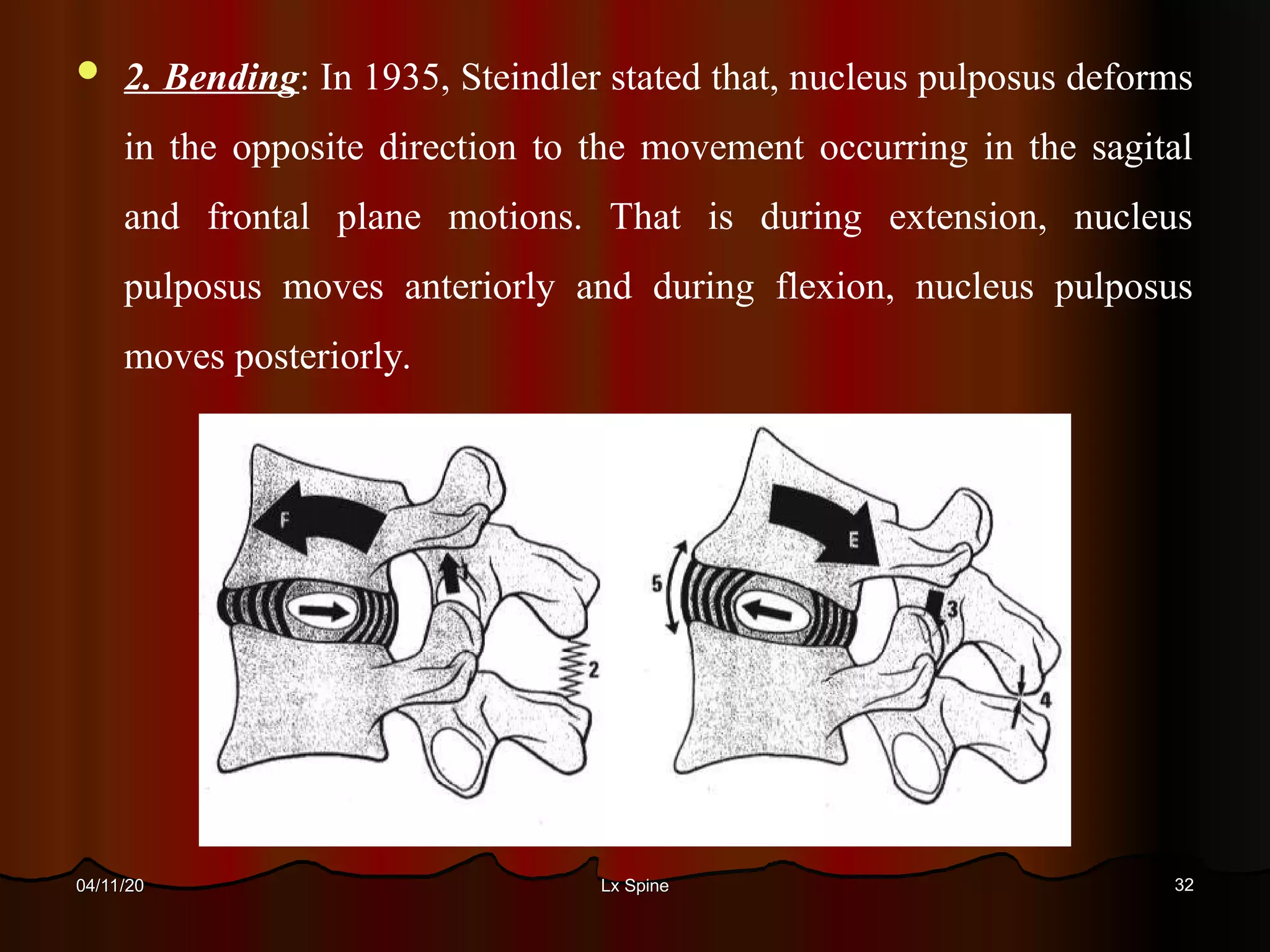 Lumbar Spnine: Anatomy, Biomechanics and Pathomechanics | PDF