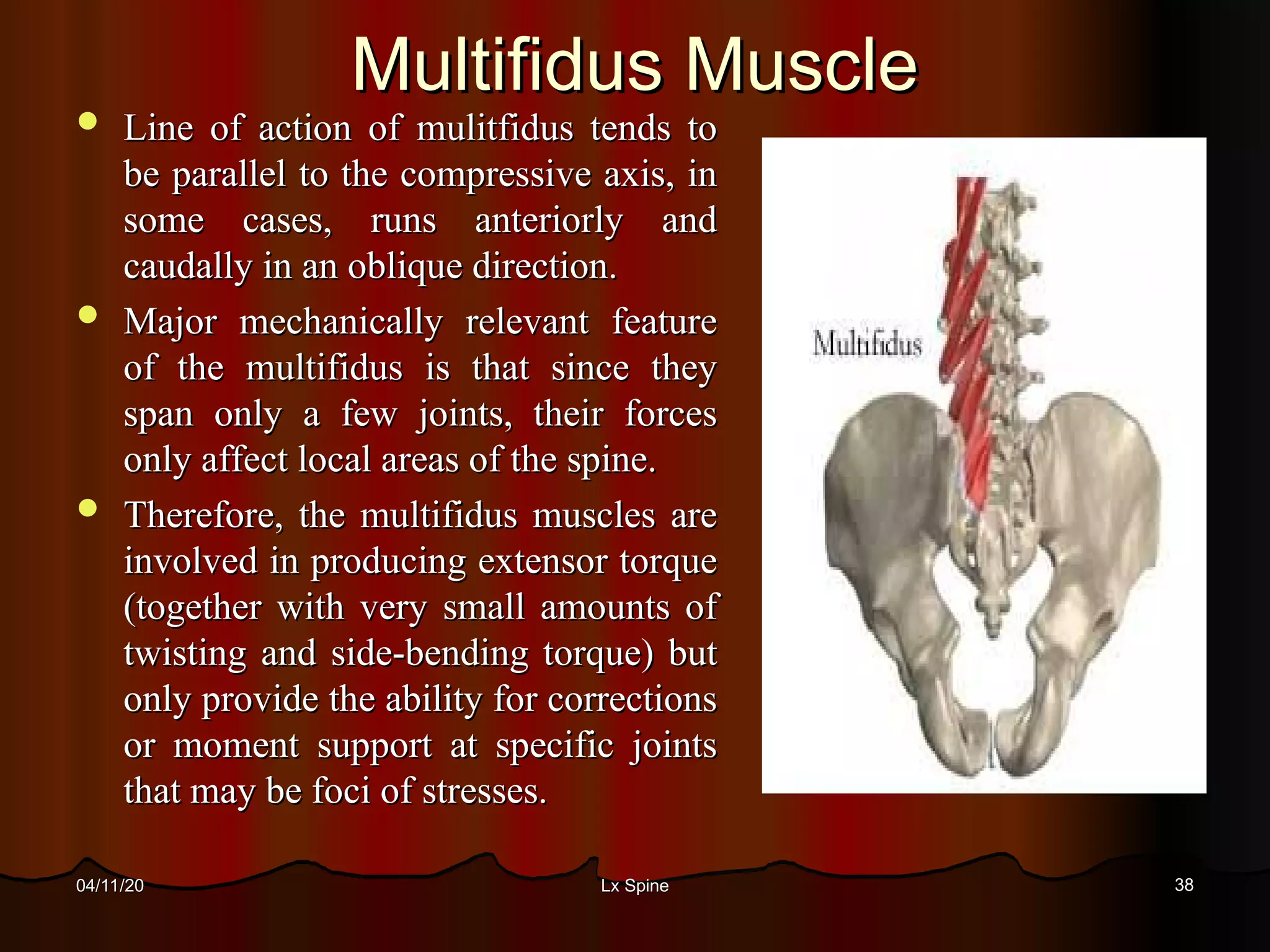 Lumbar Spnine: Anatomy, Biomechanics and Pathomechanics | PDF