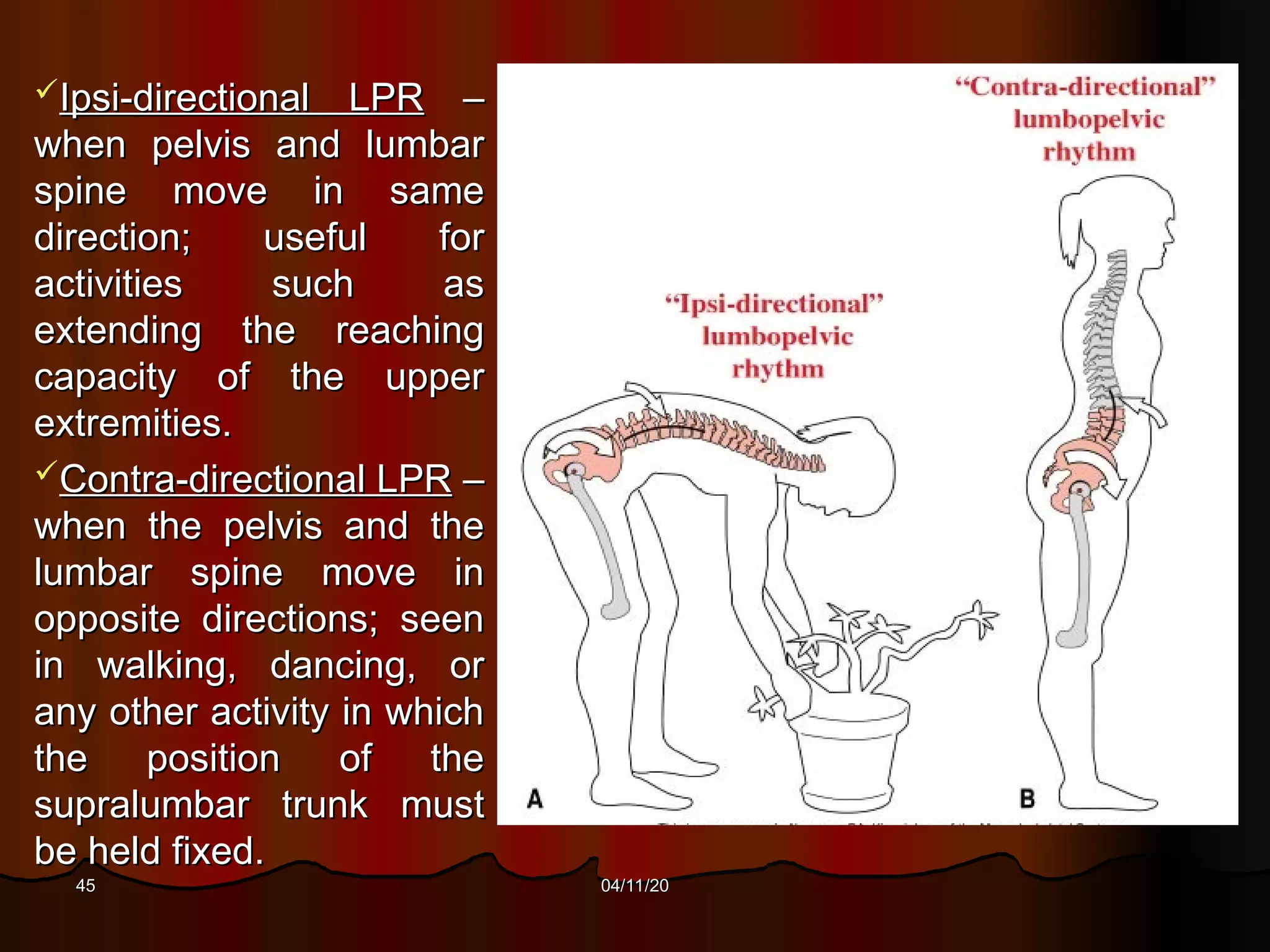 Lumbar Spnine: Anatomy, Biomechanics and Pathomechanics | PDF