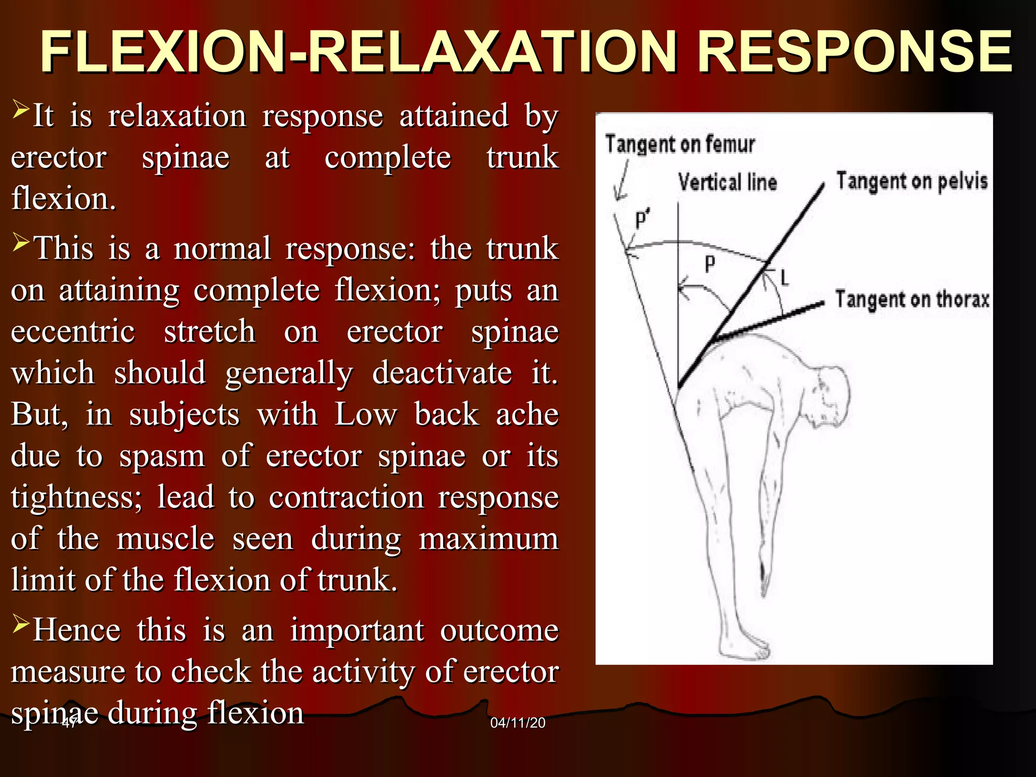 Lumbar Spnine: Anatomy, Biomechanics and Pathomechanics | PDF