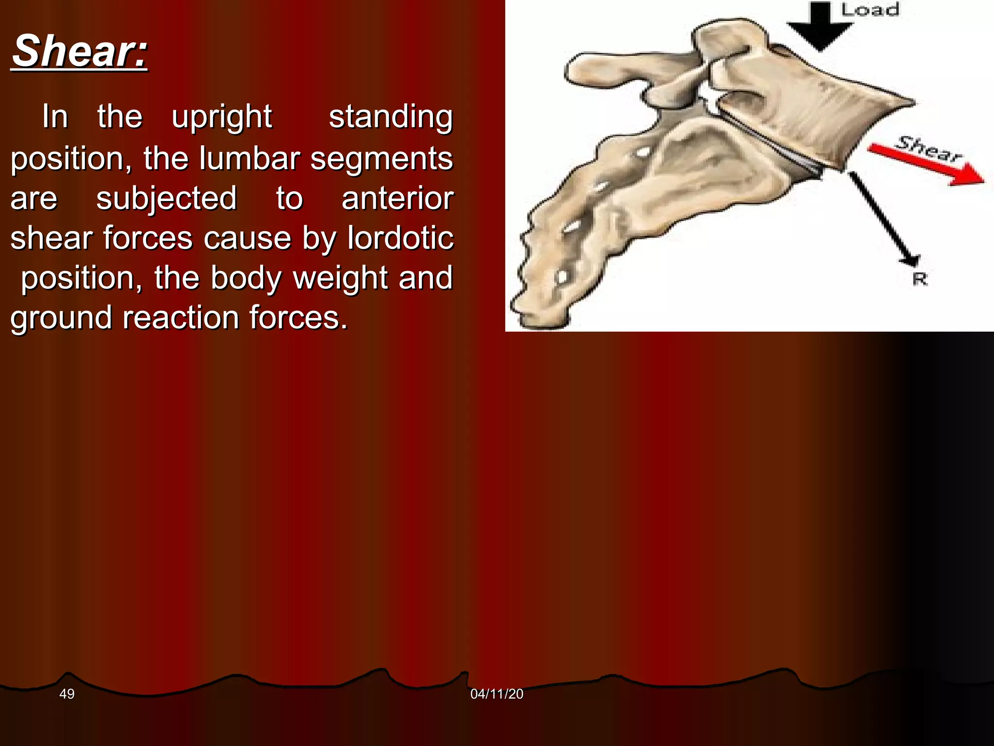 Lumbar Spnine: Anatomy, Biomechanics and Pathomechanics | PDF