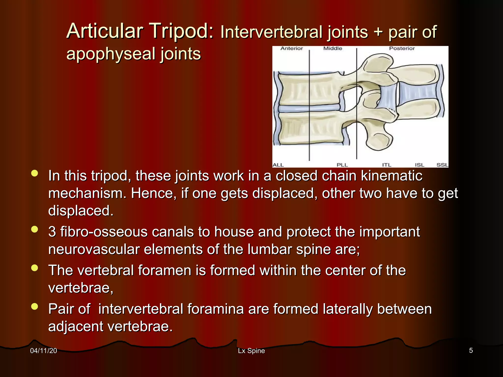 Lumbar Spnine: Anatomy, Biomechanics and Pathomechanics | PPT