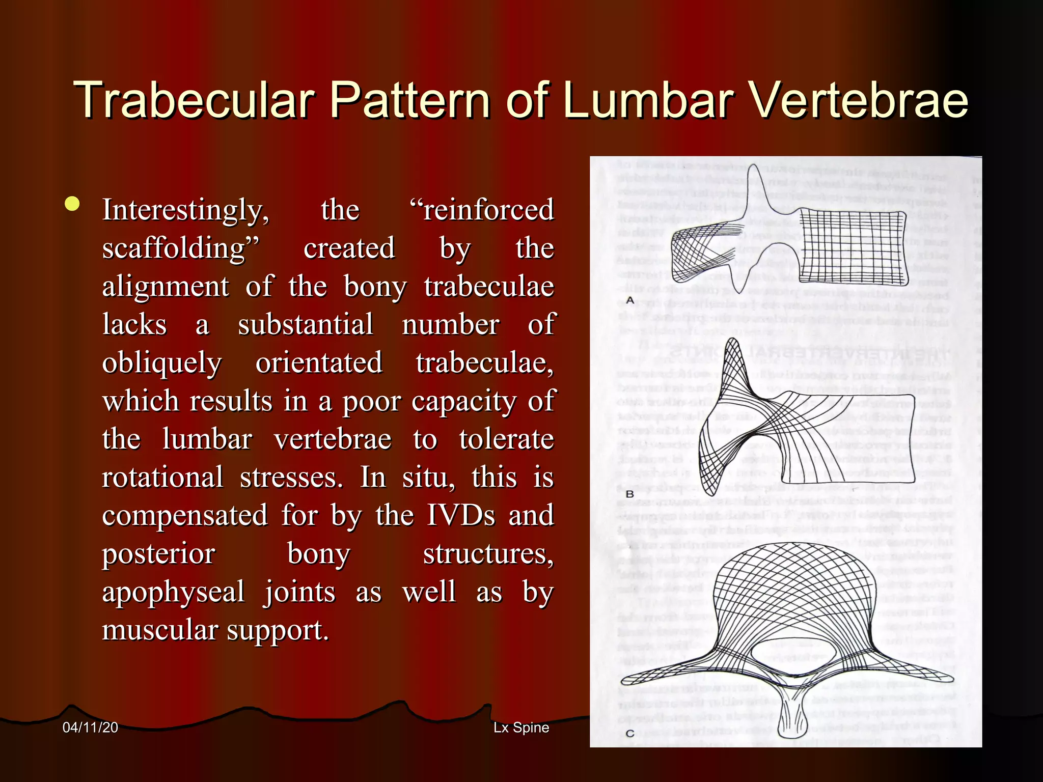 Lumbar Spnine: Anatomy, Biomechanics and Pathomechanics | PDF