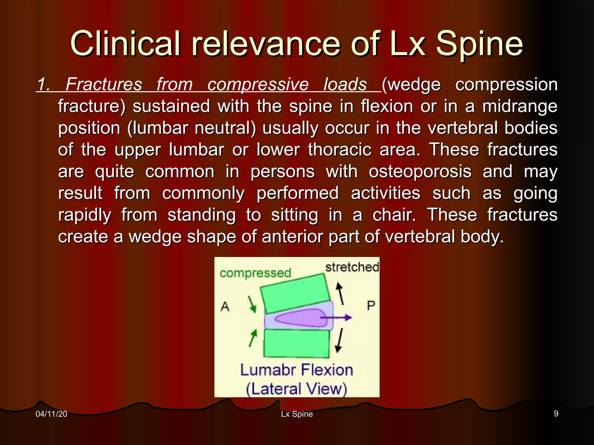Lumbar Spnine: Anatomy, Biomechanics and Pathomechanics | PDF